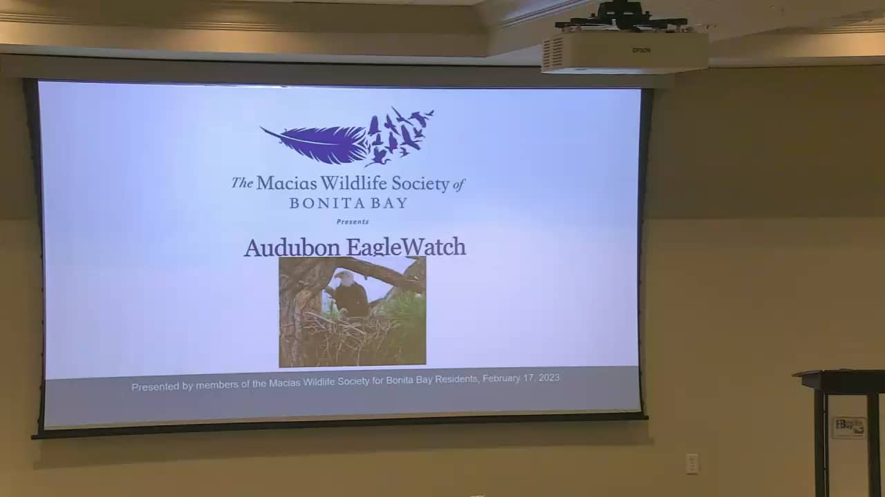 The Audubon Eagle Watch Program and Where You Might Find Eagles in ...