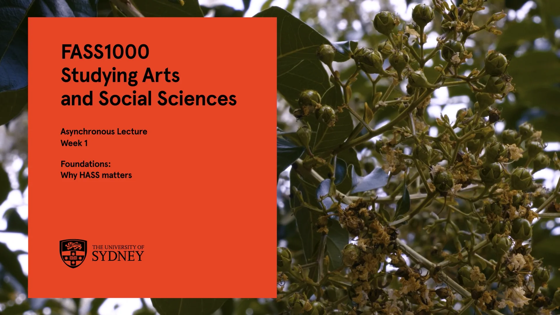 FASS1000 Asynchronous Lecture — Why HASS Matters? Week 1 on Vimeo