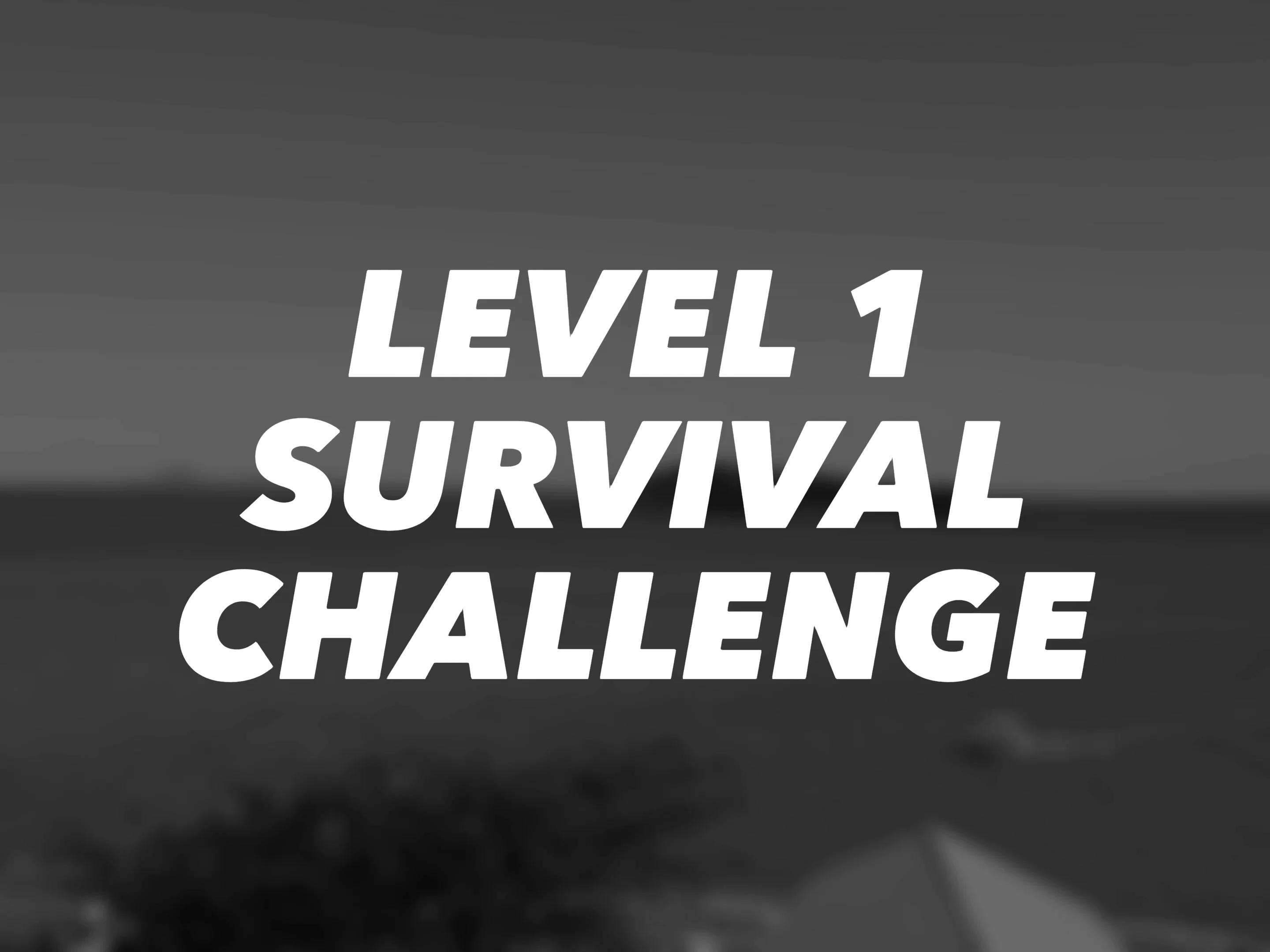 Level_1_Survival_Challenge 2.mov on Vimeo