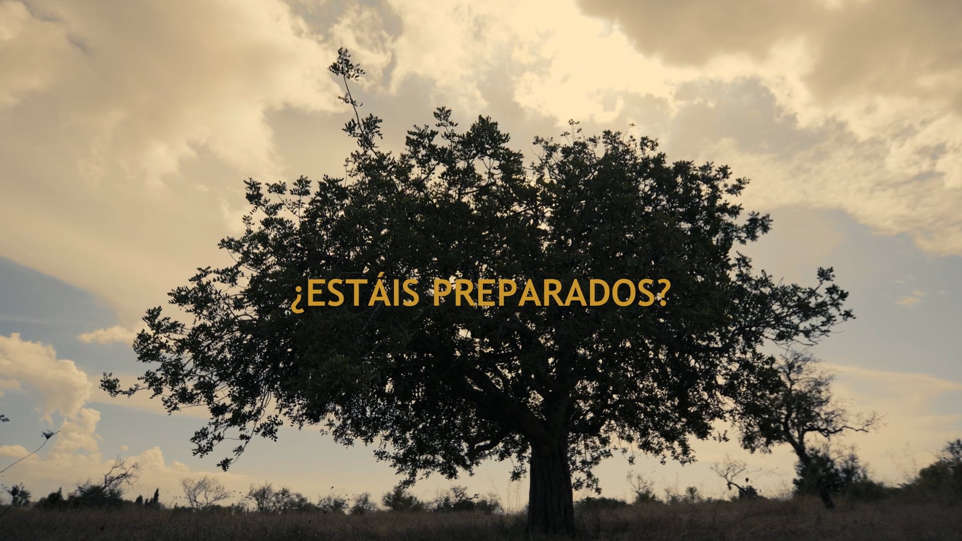 21F Nominados Ibicine on Vimeo