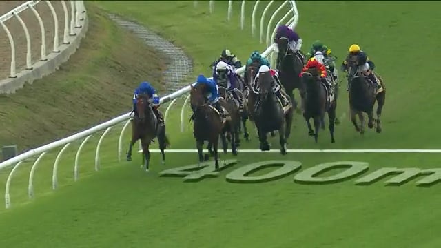 Pierro - Stallion | Breednet