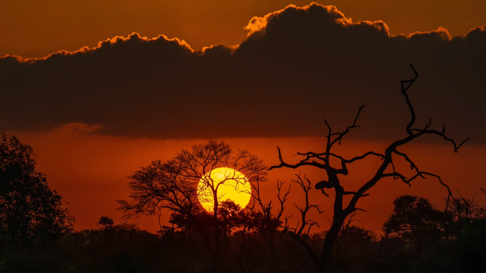 Southern Africa Adventures on Vimeo