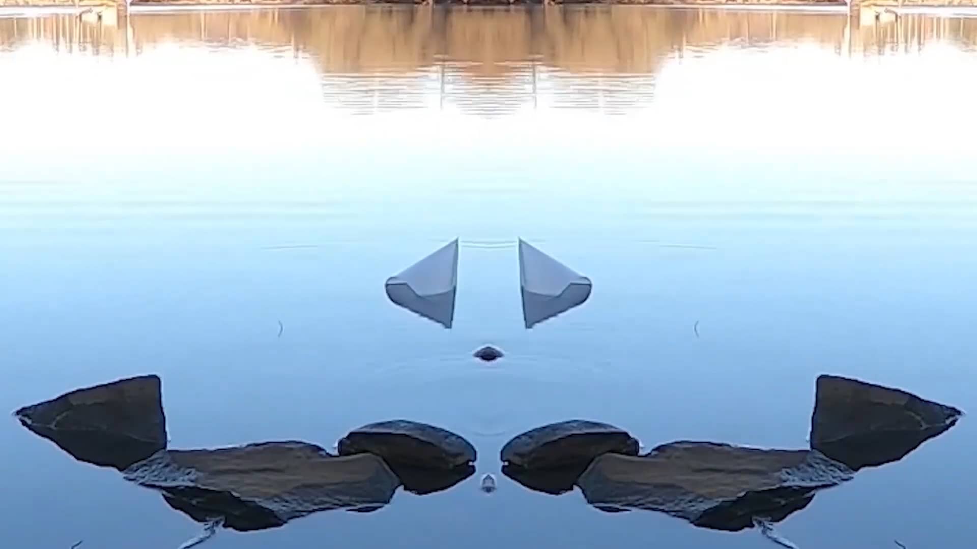 Jill Townsley_FLOAT.mp4 on Vimeo