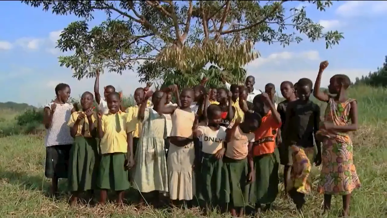 Welcome to Roots & Shoots on Vimeo