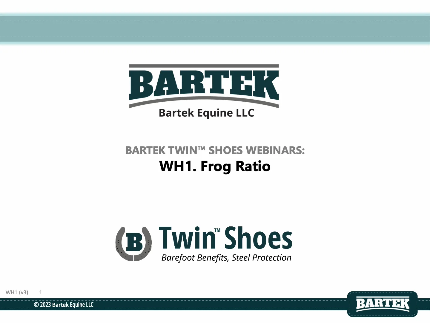 wh1_(v3)_frog_ratio (1080p) on Vimeo
