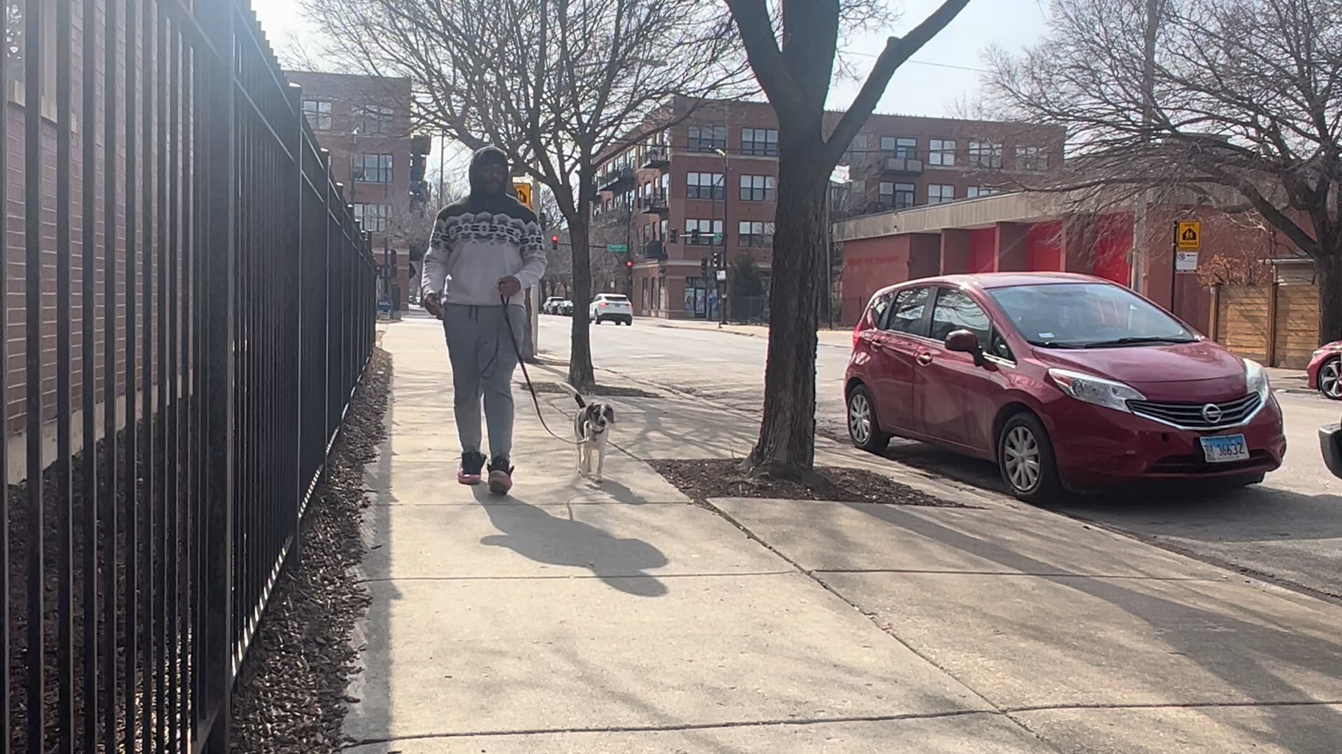 Light Leash Pop on Vimeo