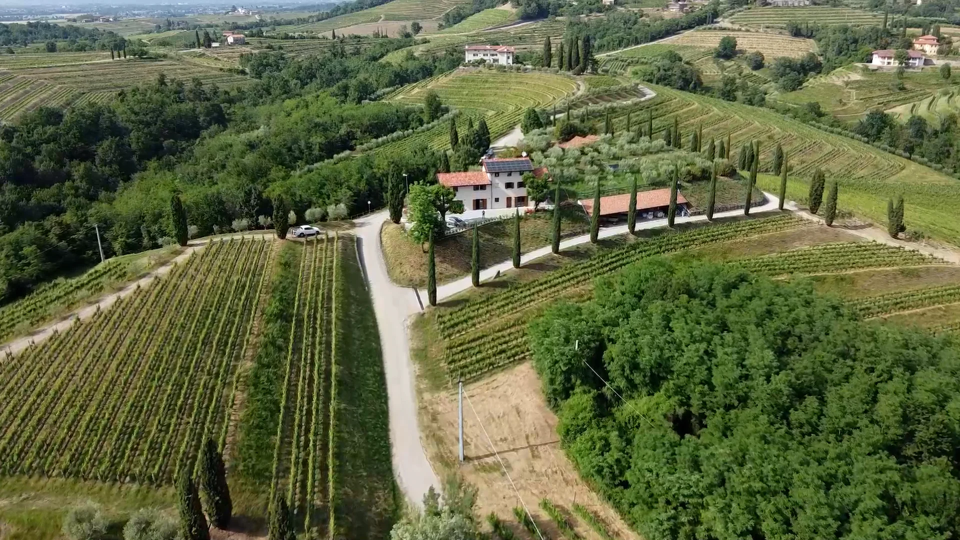 Le Vigne di Zamò, Friuli Venezia Giulia on Vimeo