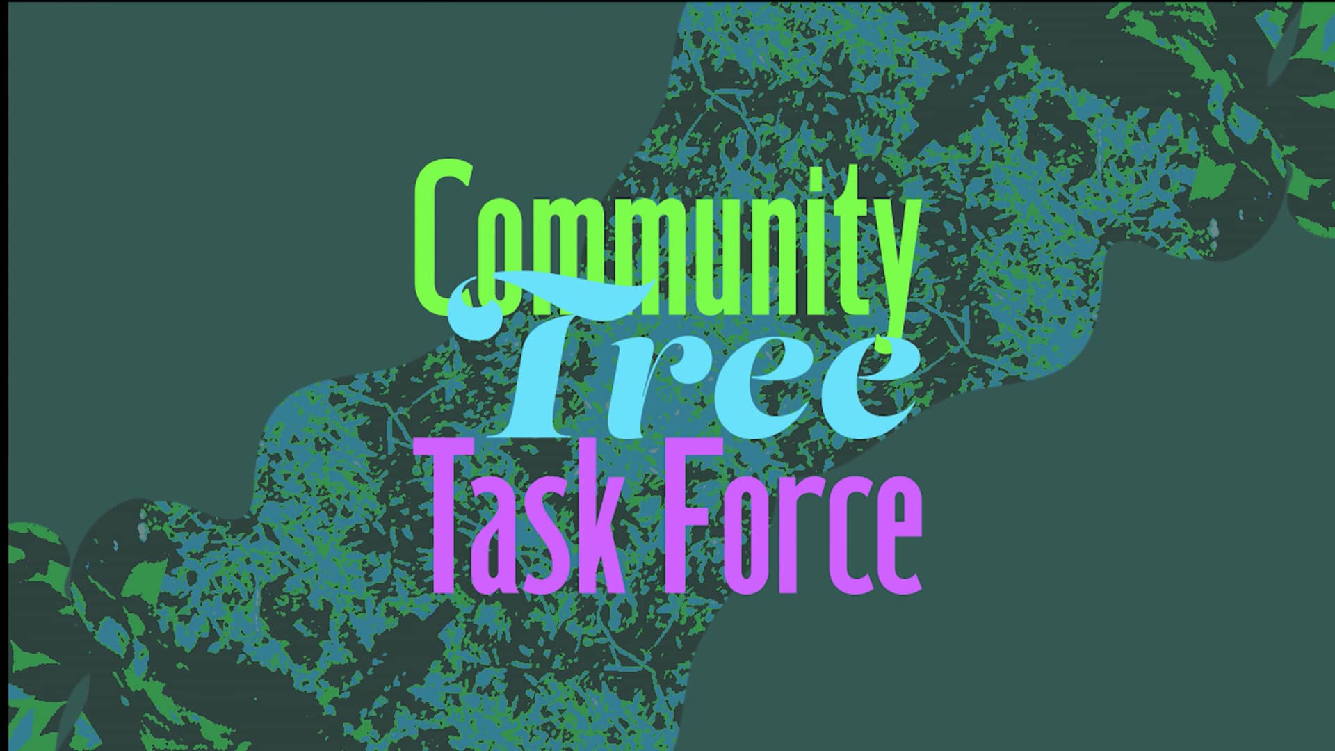 Community Tree Task Force logo only_3.mp4 on Vimeo