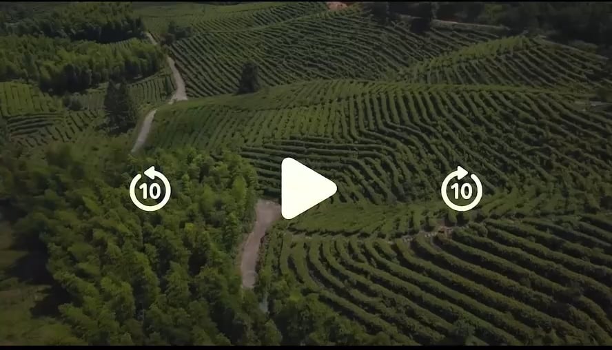 Seed to feed Herbalife | Videos & Movies on Vimeo