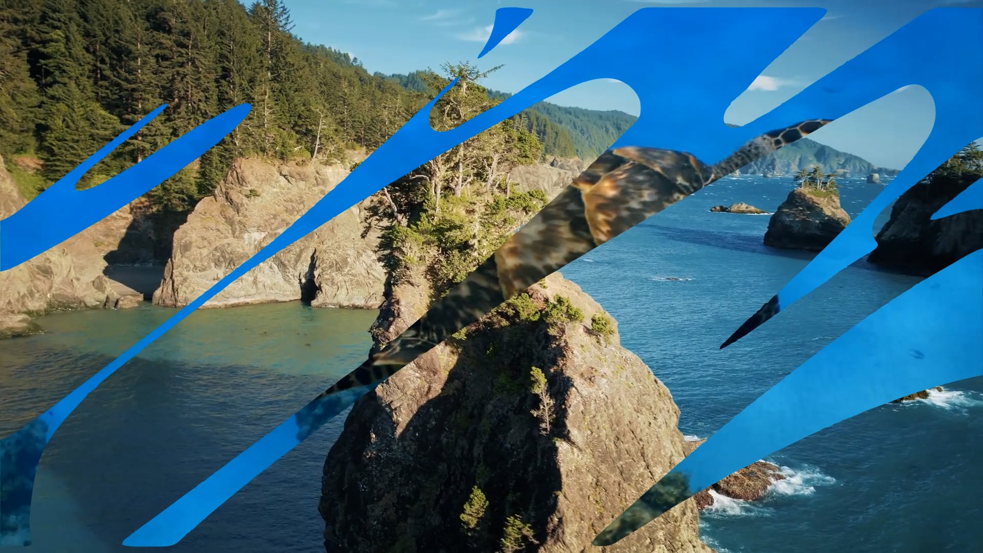 TEST_VIDEO on Vimeo