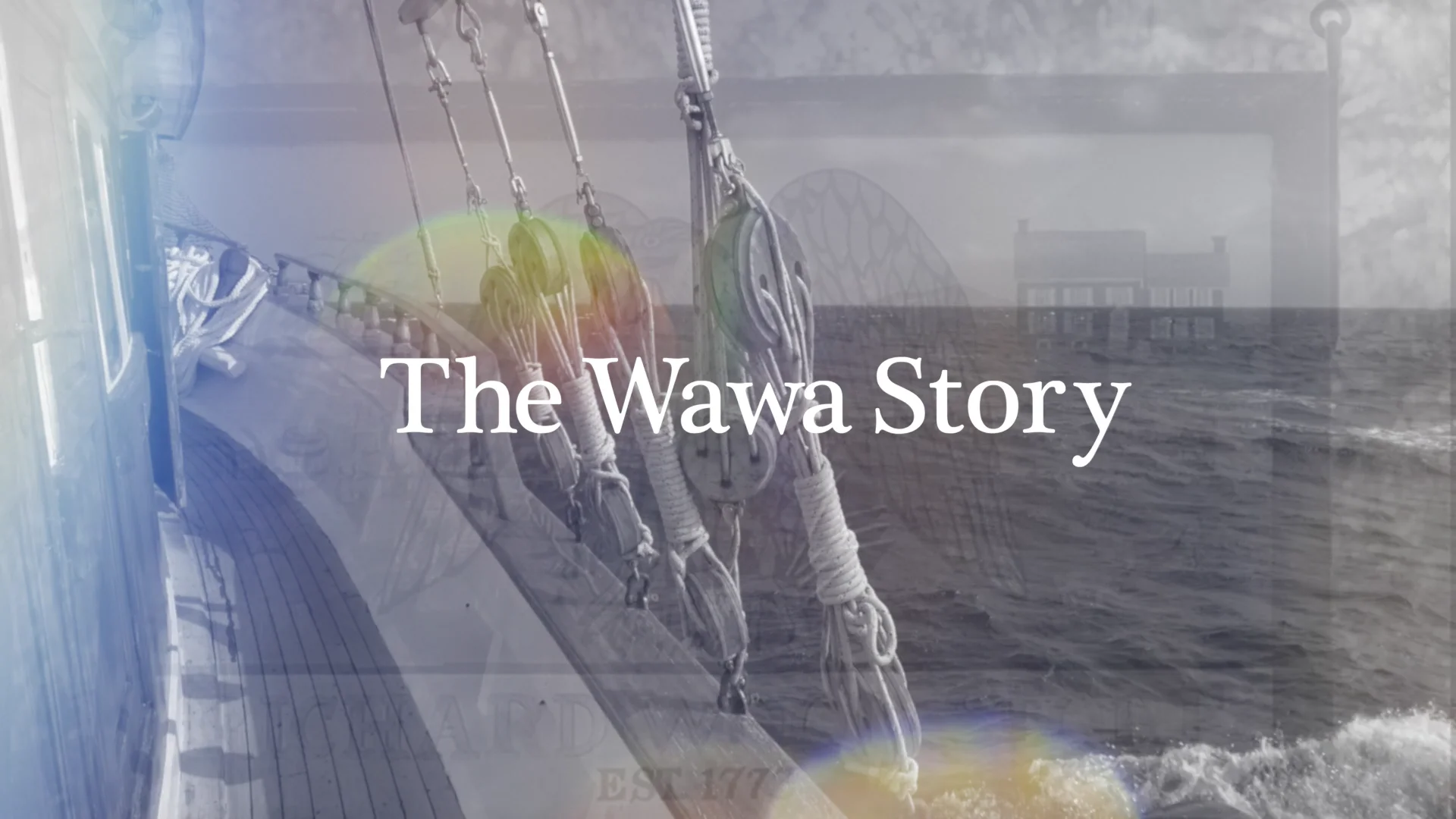01 - The Wawa Story