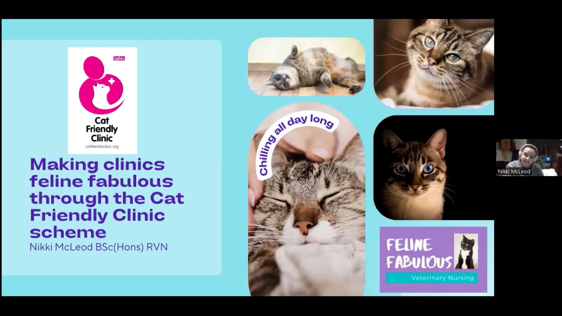Watch Making your practice feline fabulous: Cat friendly clinics Online ...
