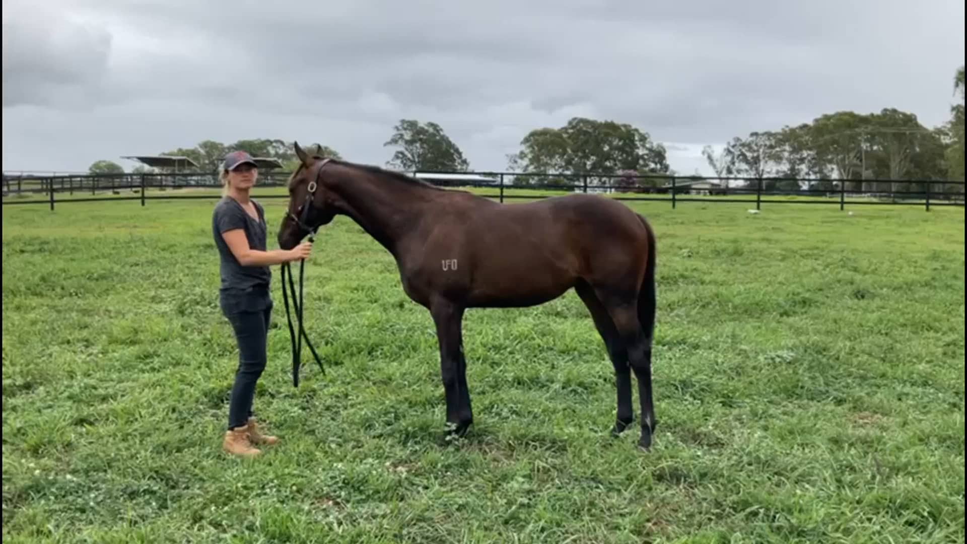 Too Darn Hot x La La Luchie colt - Bimbadeen Park on Vimeo