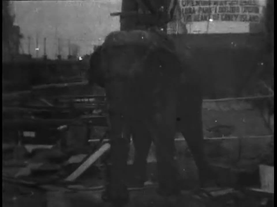 Electrocuting an Elephant (1903) - Topsy WARNING Viewer Discretion ...