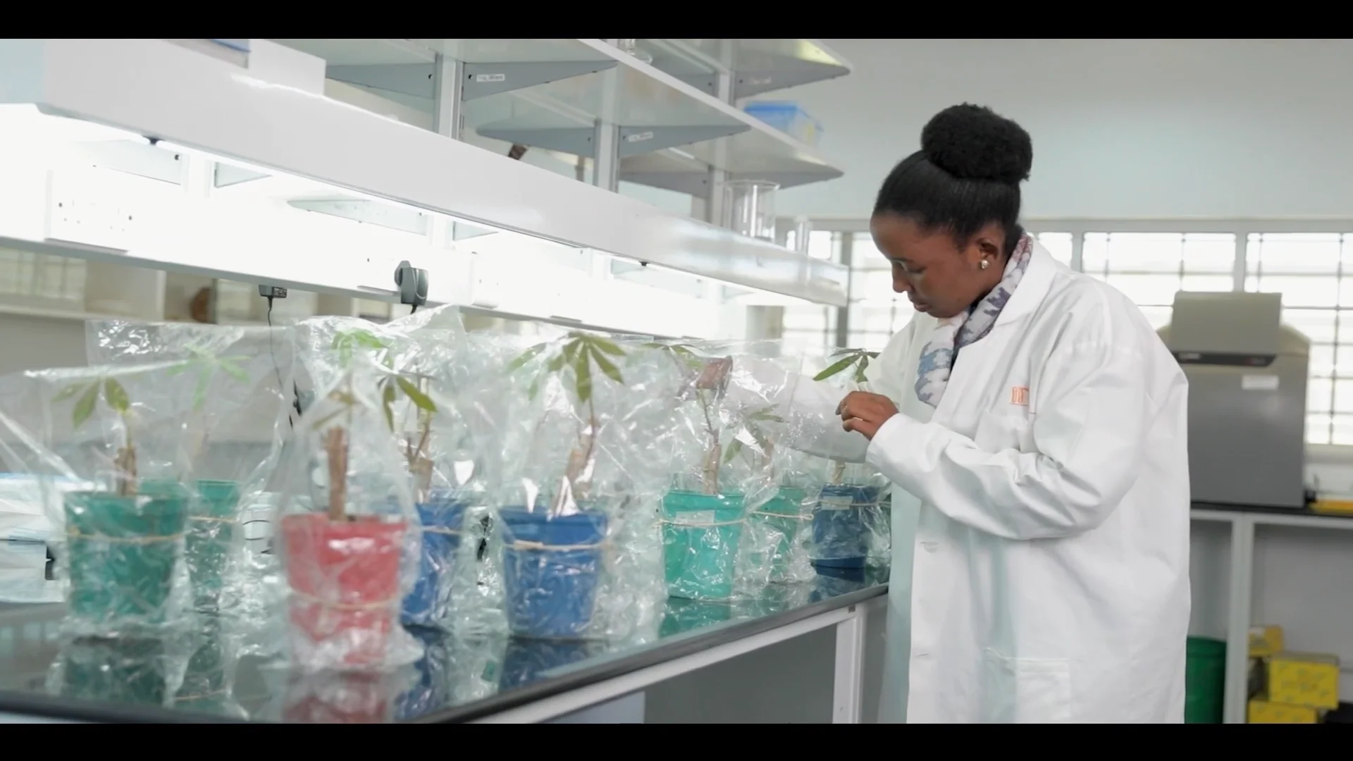 MEDA Moment 2022: BEST Cassava, Tanzania on Vimeo