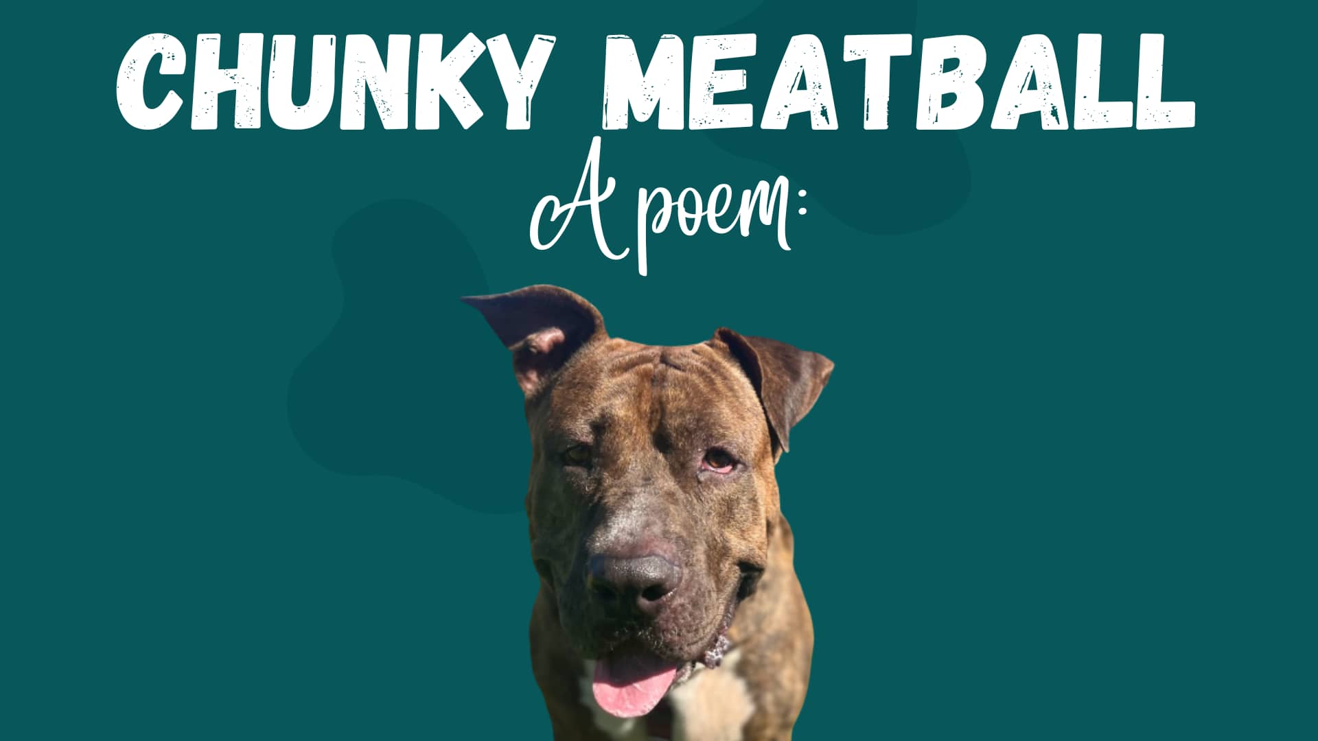 Chunky Meatball A poem on Vimeo
