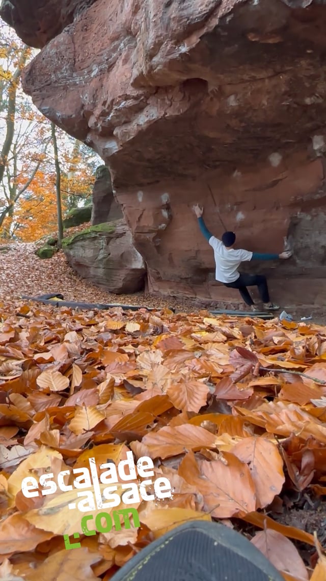 escalade-alsace.com > Vidéos > Bloc