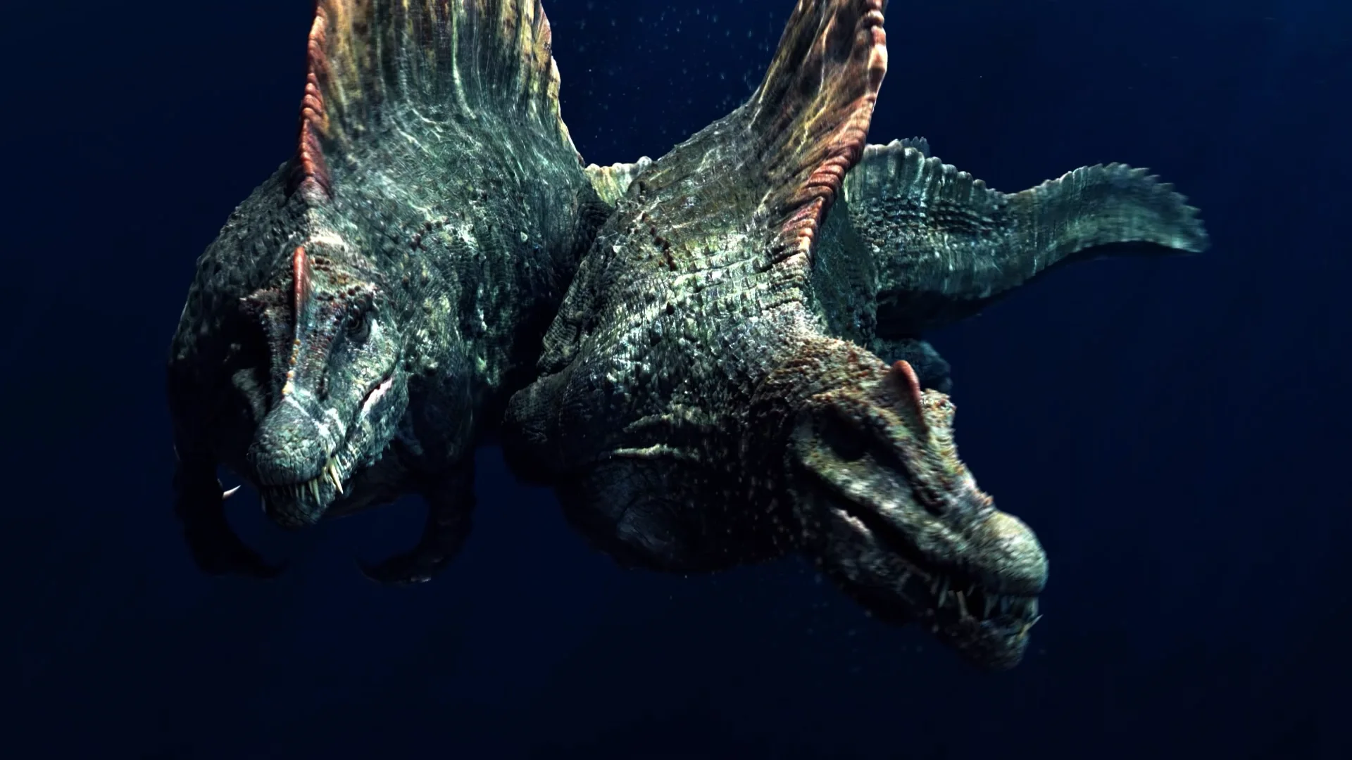 spinosaurus animation test on Vimeo