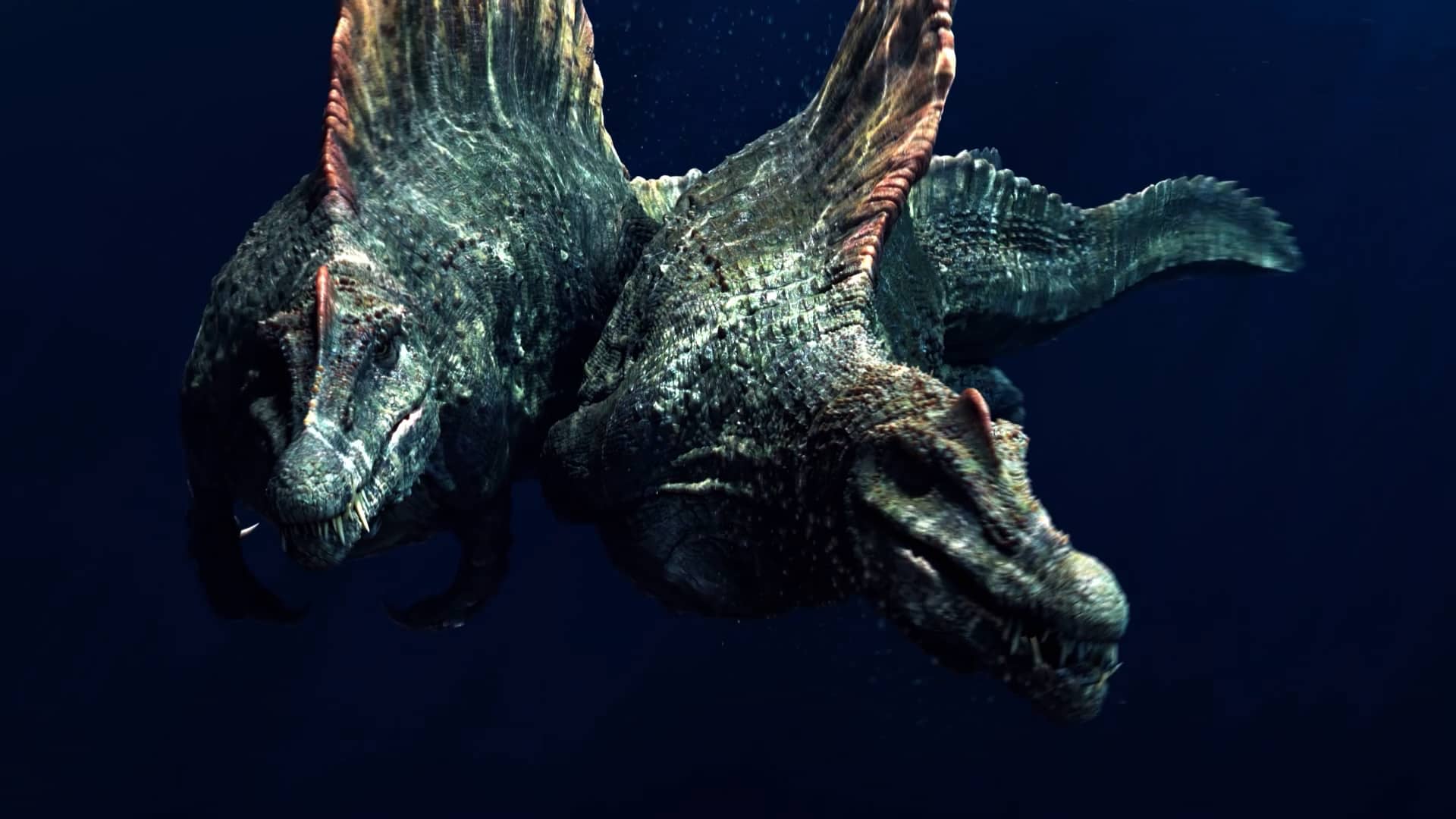 spinosaurus animation test on Vimeo