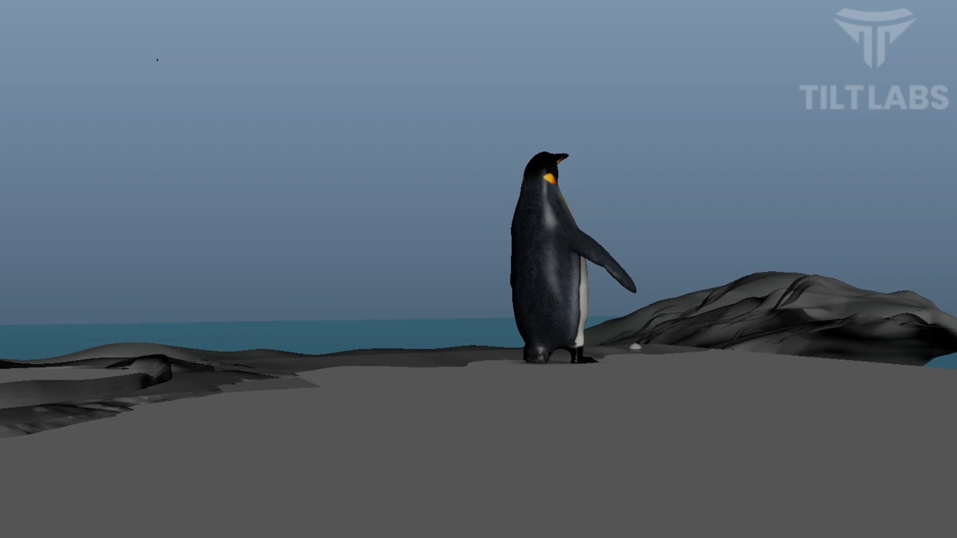 PENGUIN 3D ANIMATION on Vimeo