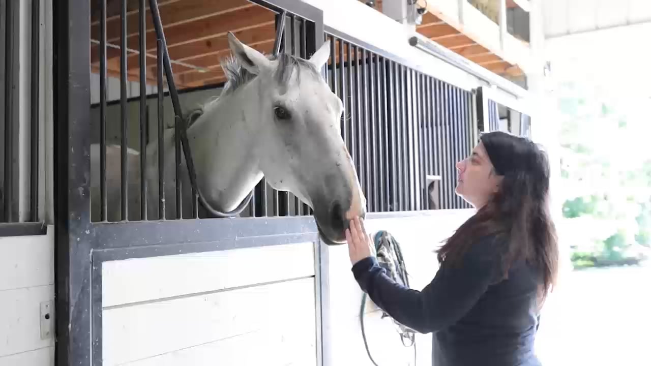 75218 062822 Hagyard Rosie BRoll on Vimeo