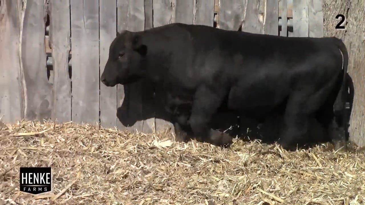 About | Henke Angus Farms