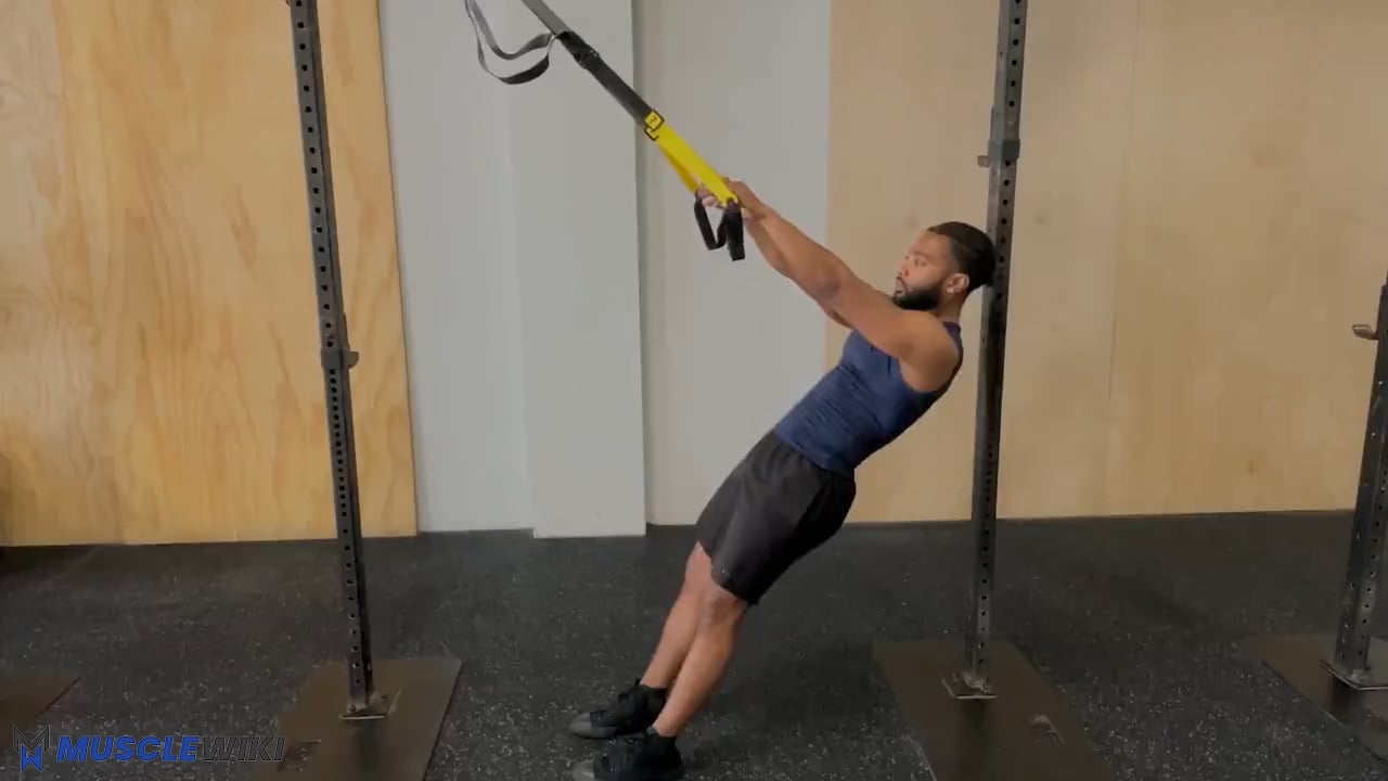 male-trx-W-raise-side on Vimeo