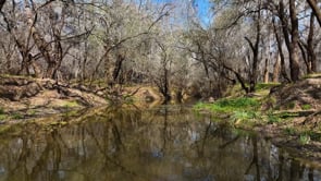 118 acres in Atascosa County, Texas