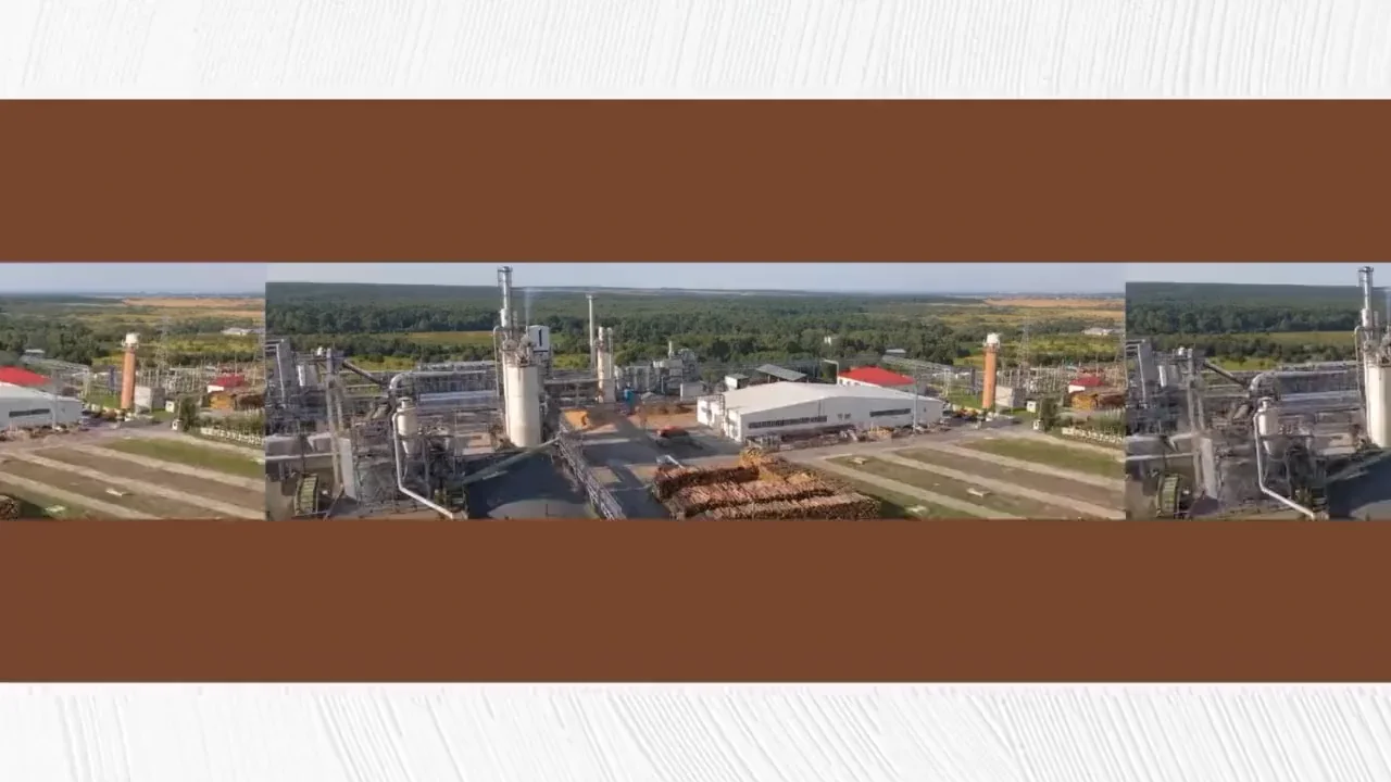 HCT | Lumber Hazard Solutions on Vimeo