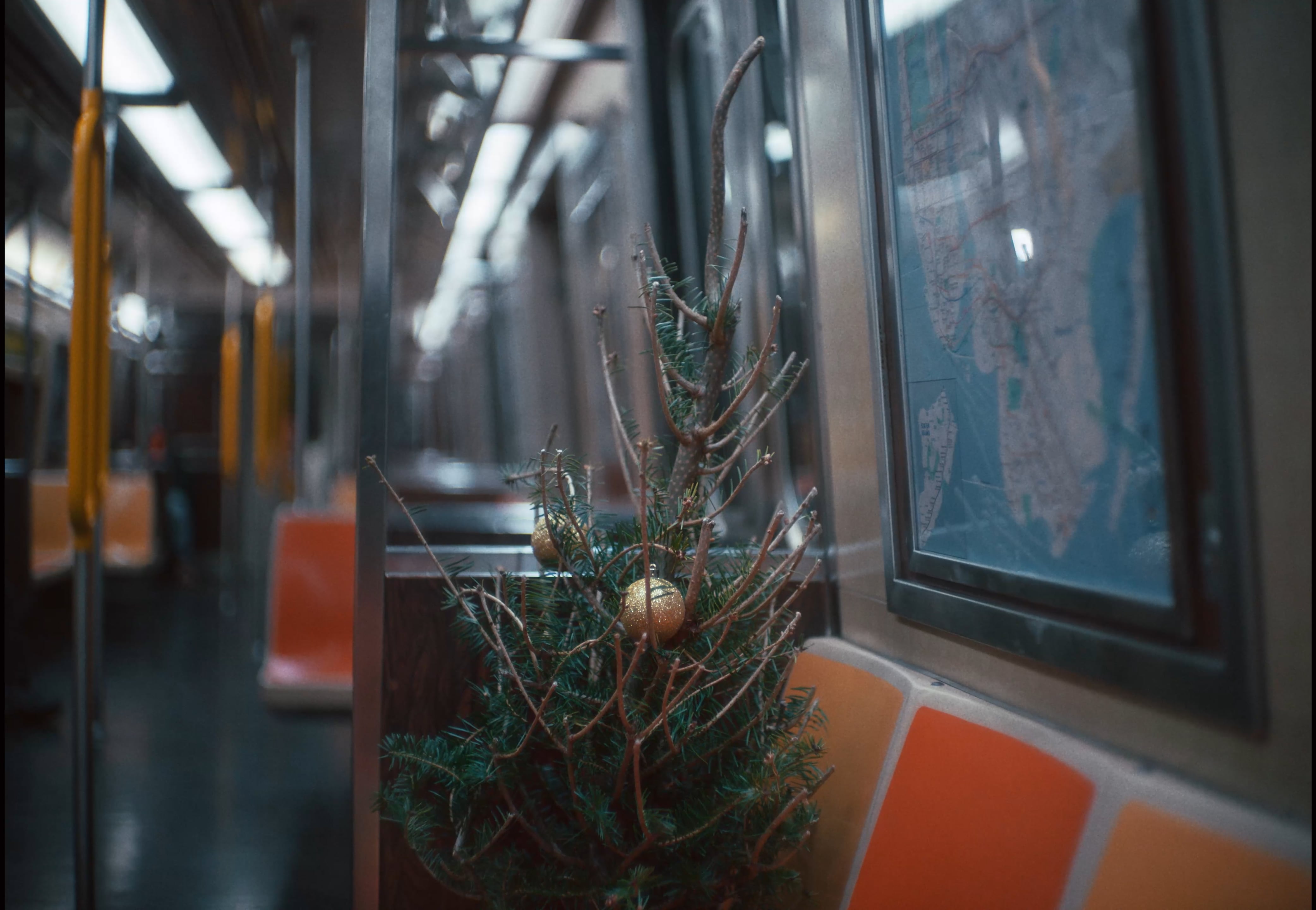 Sad Tree Menorah on Vimeo