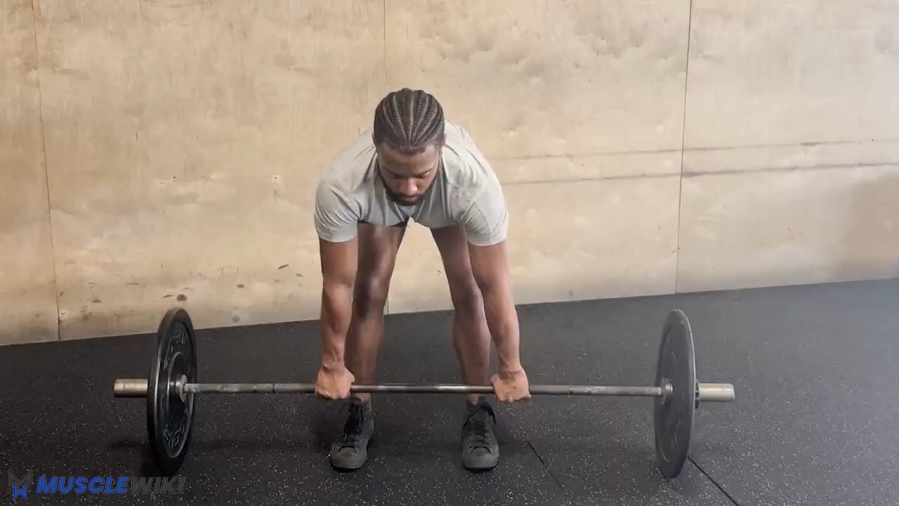 male-barbell-pronated-pendlay-row-front on Vimeo