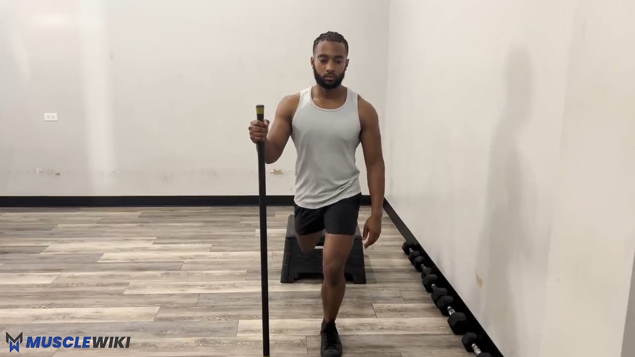 male-bodyweight-assisted-bulgarian-split-squat-front on Vimeo