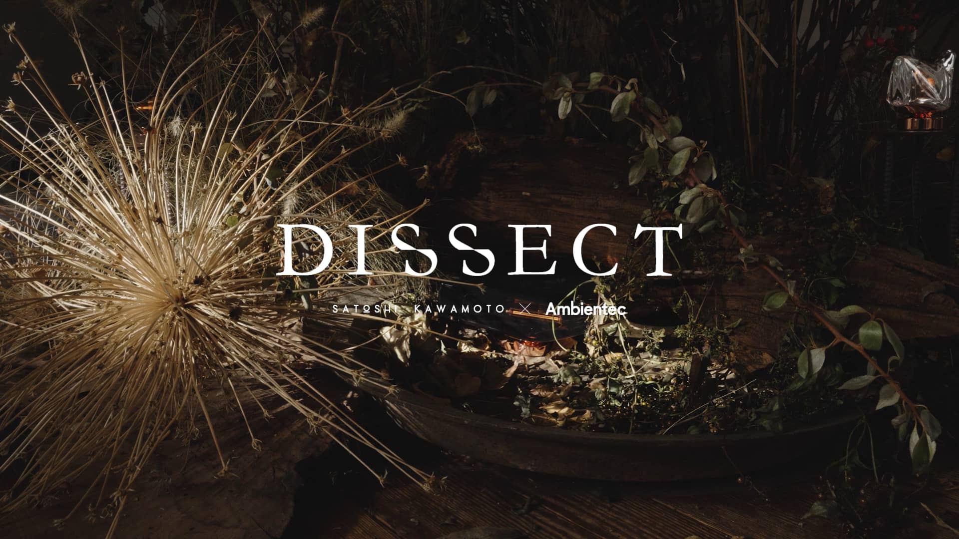Ambientec_DISSECT_2022_Archives_short on Vimeo