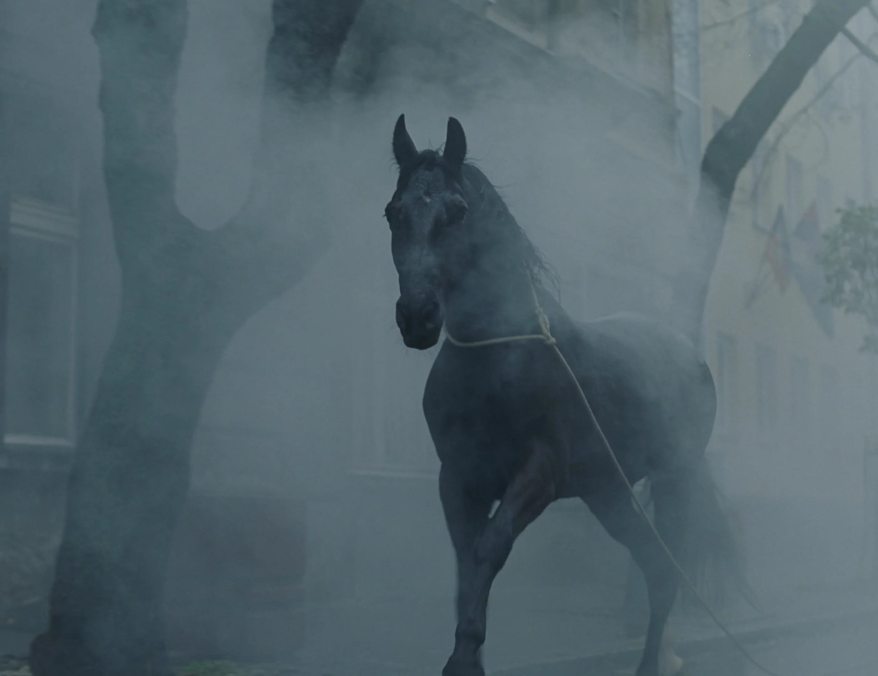 Arlo Parks - Weightless (Director's Cut) on Vimeo