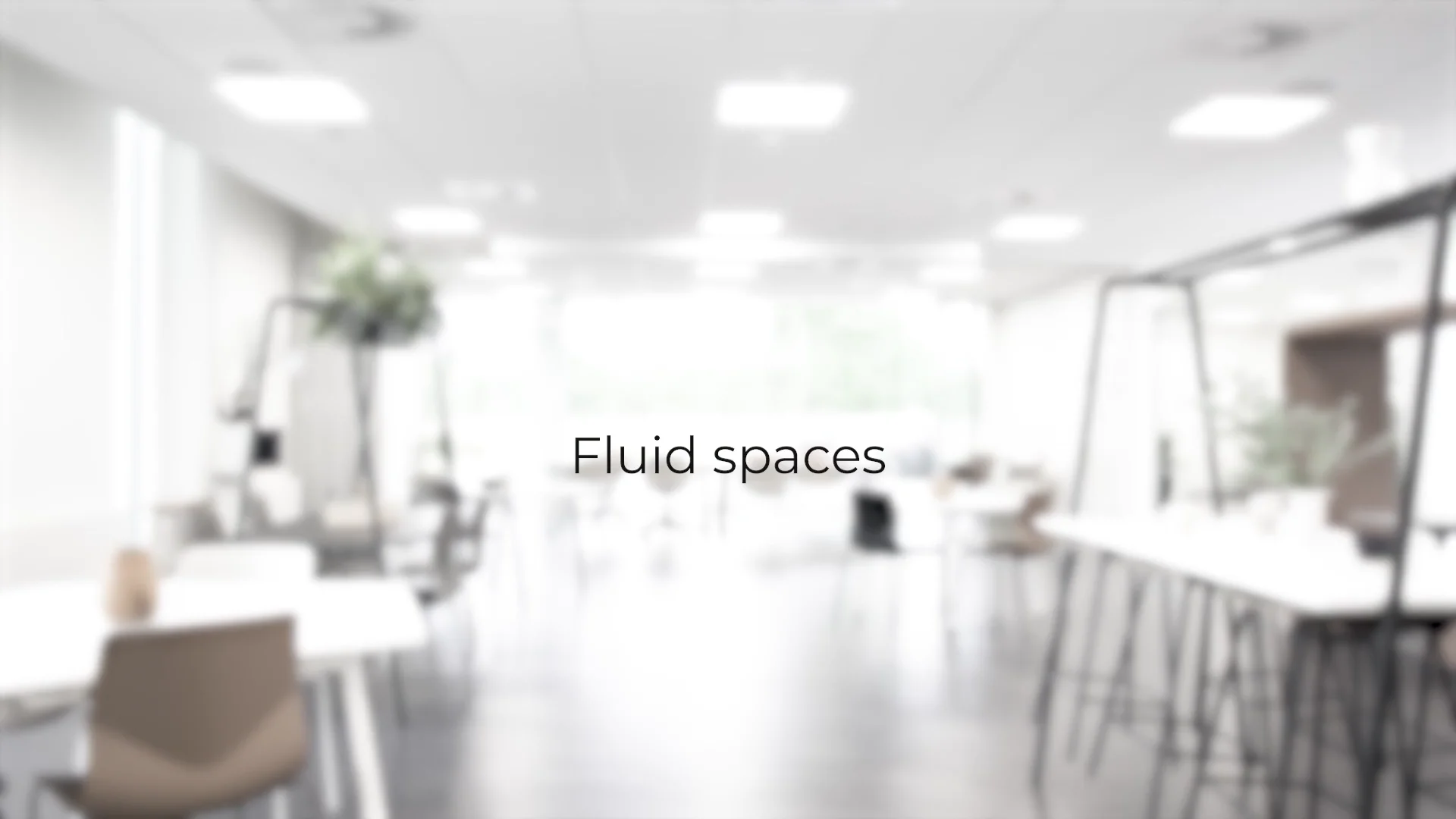 Four Design – Fluid Spaces