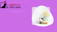 Top Rated Gift Stores In Tampa FL Cardinal The Dog On Vimeo