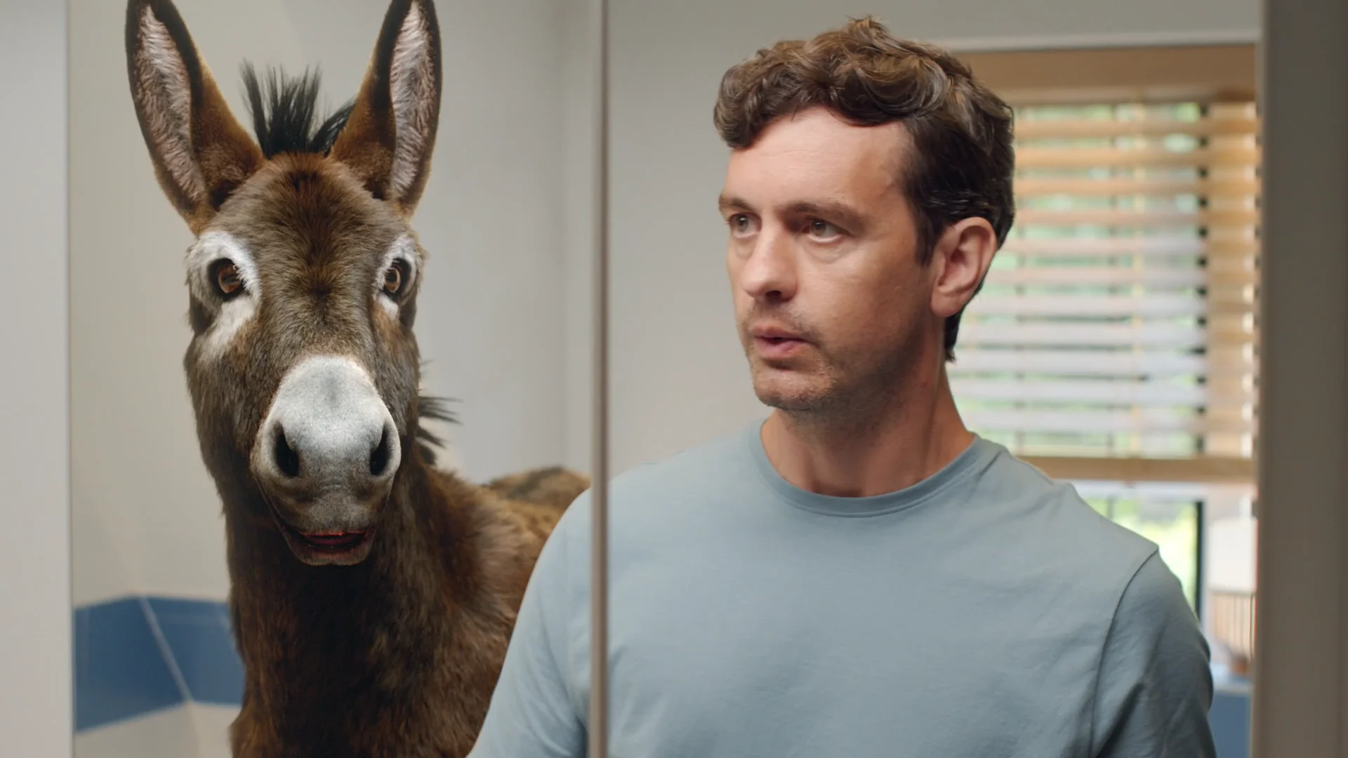 listerine-donkey-on-vimeo