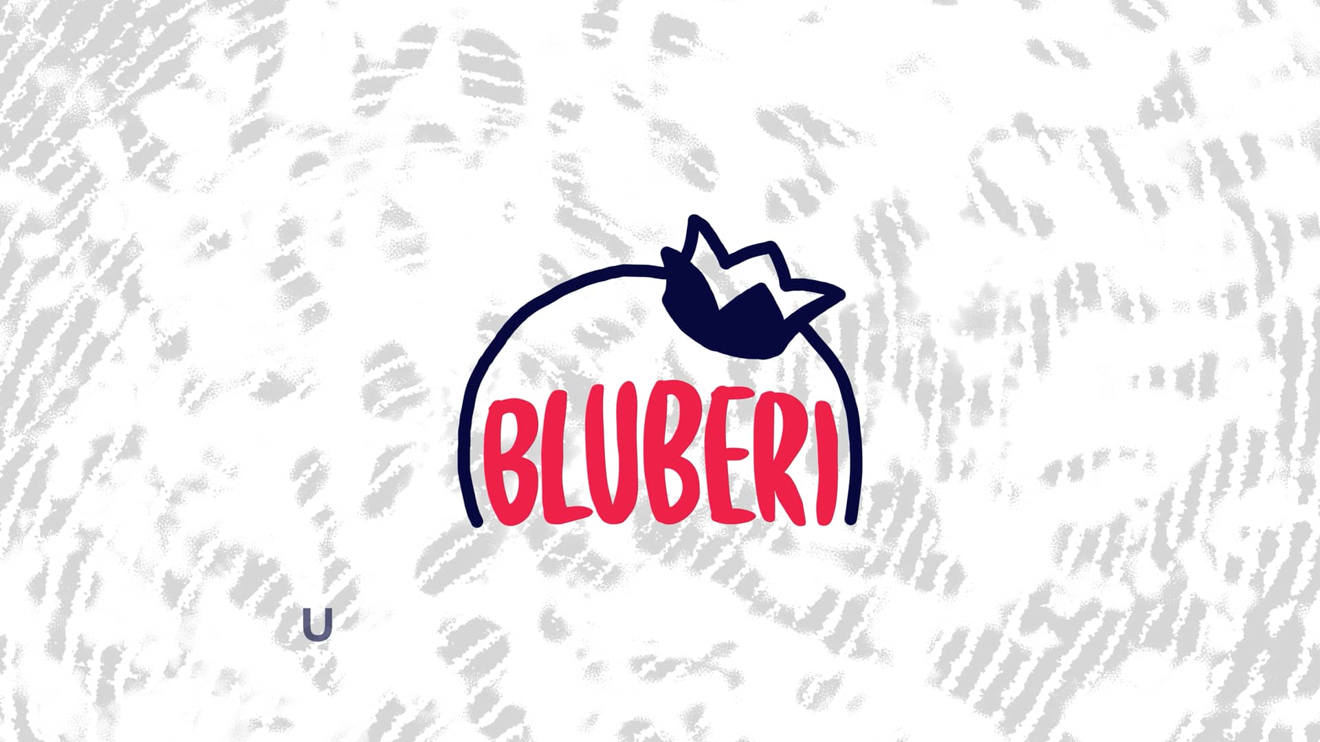 Bluberi - Novus b49 Conversion Process on Vimeo
