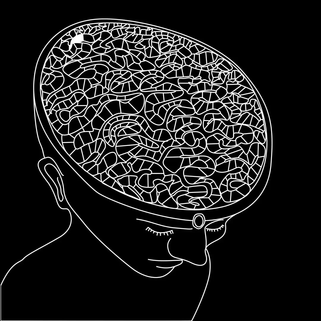 brain on Vimeo