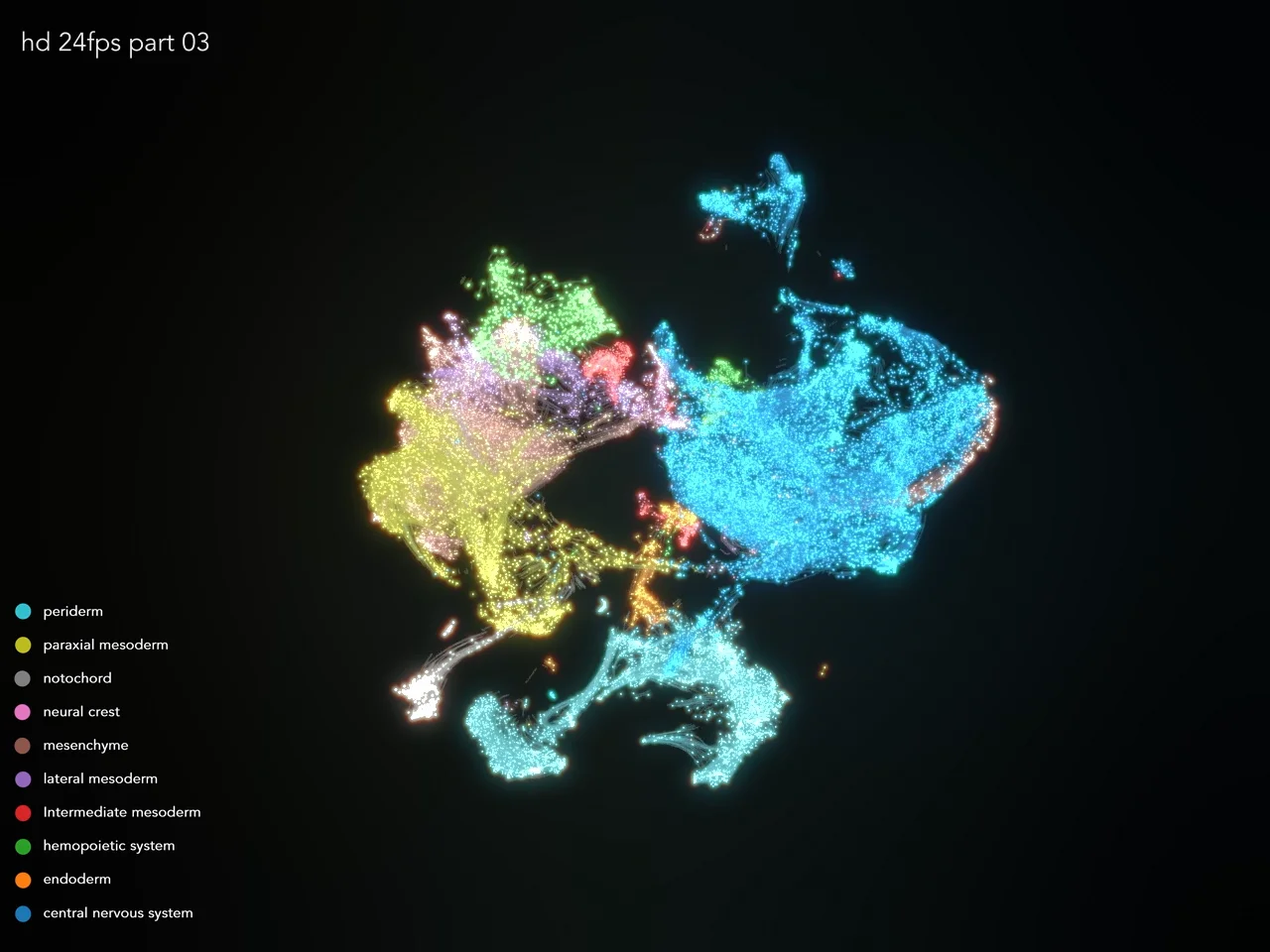 Zebrahub | Supp. Video 5: Dynamic visualization of the RNA velocity flows overlayed on full UMAP ...