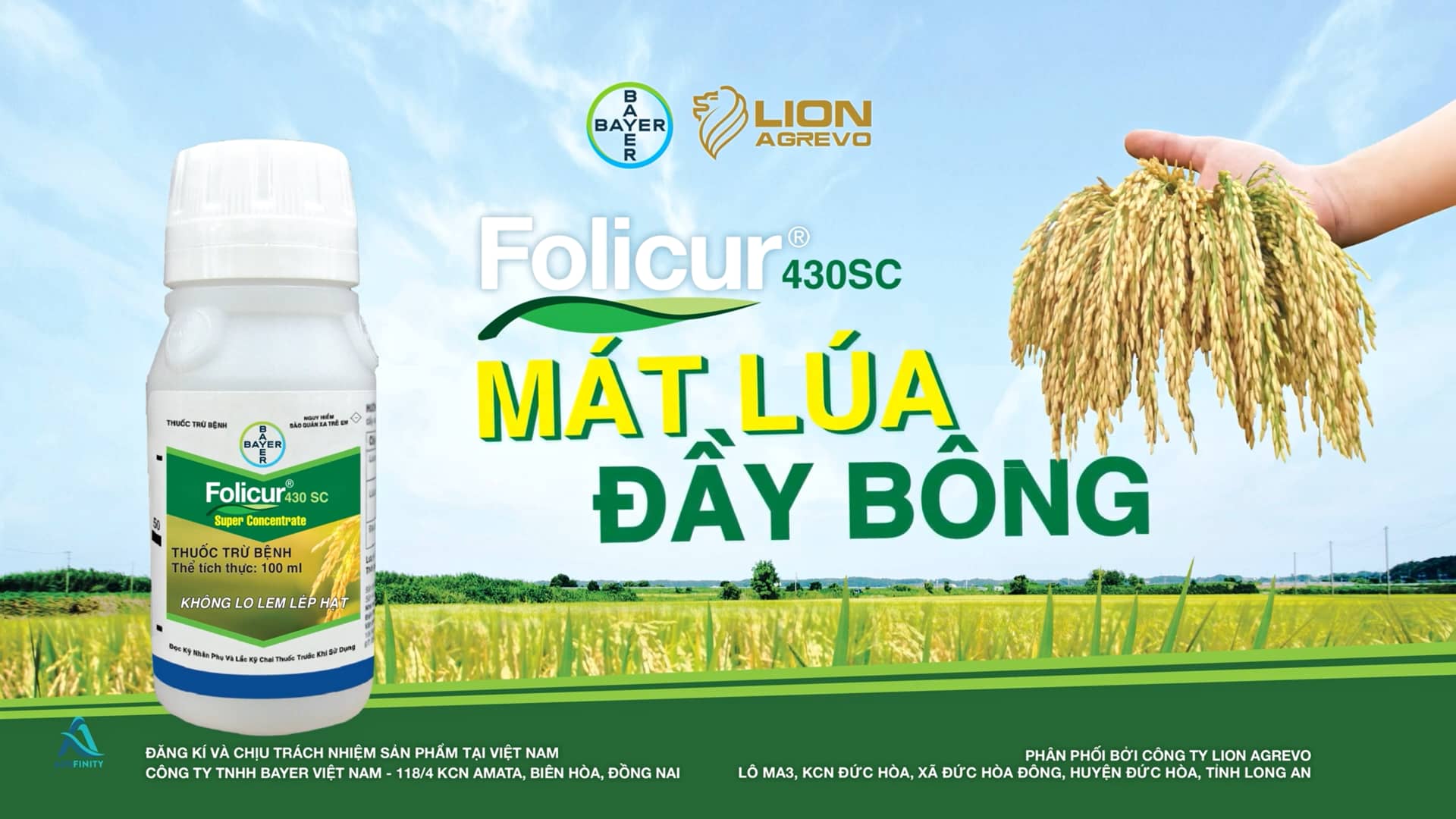 FOLICUR 430 SC - MÁT LÚA ĐẦY BÔNG on Vimeo