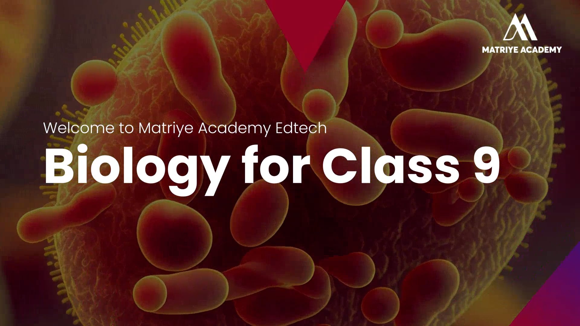 Biology Class 9 on Vimeo