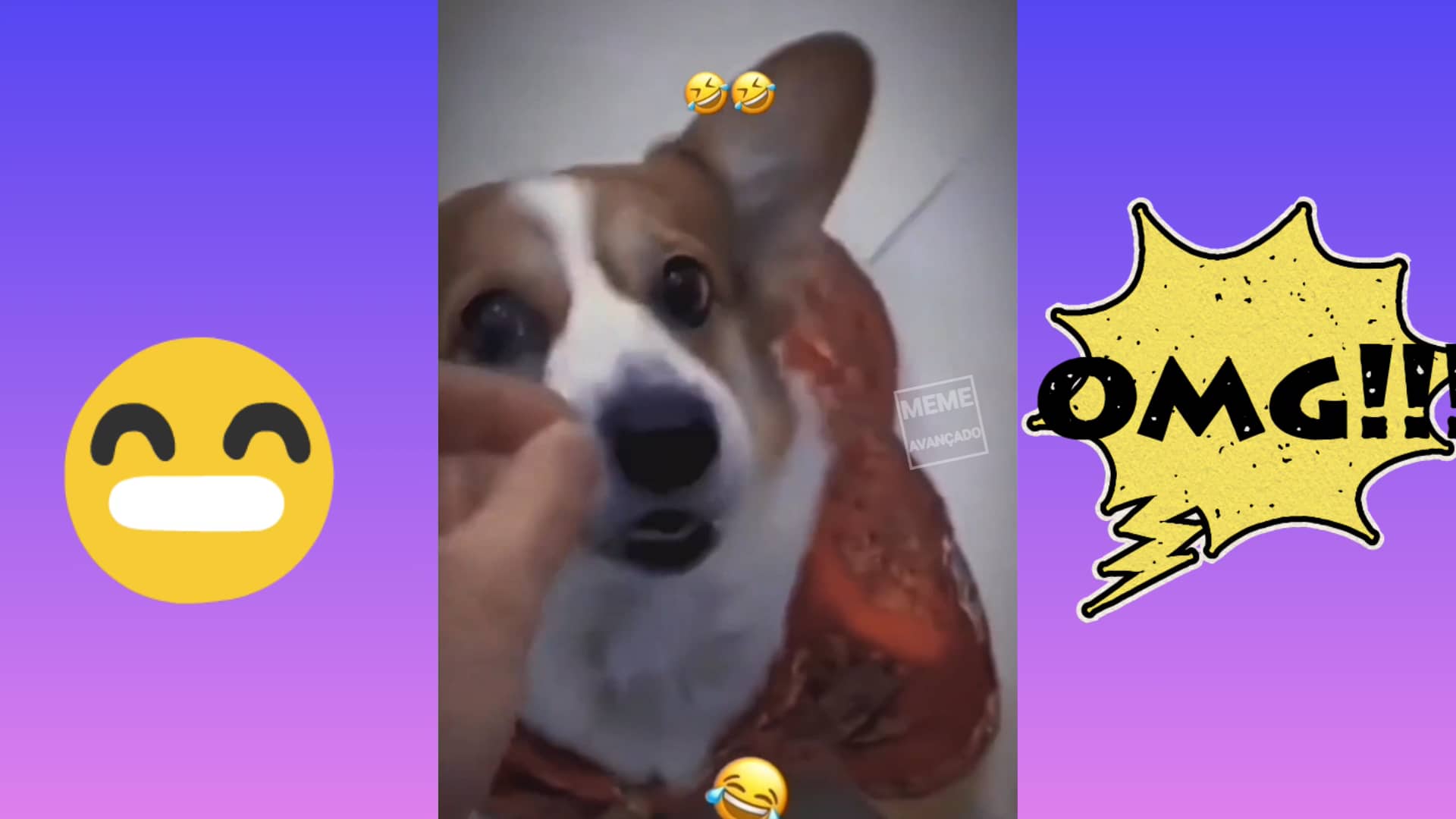 meme viral #meme on Vimeo