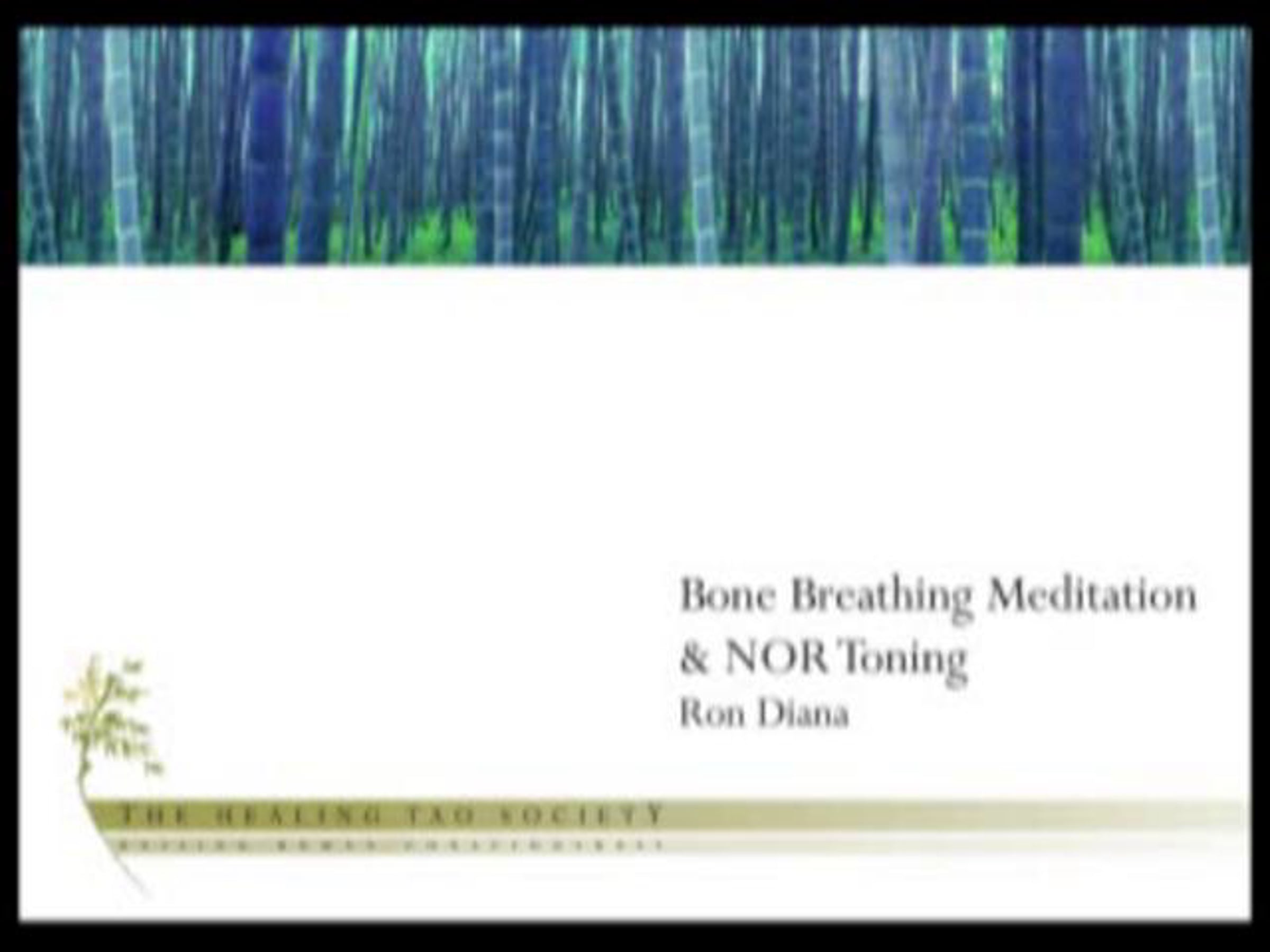 Bone Breathing Meditation & NOR Toning - Ron Diana