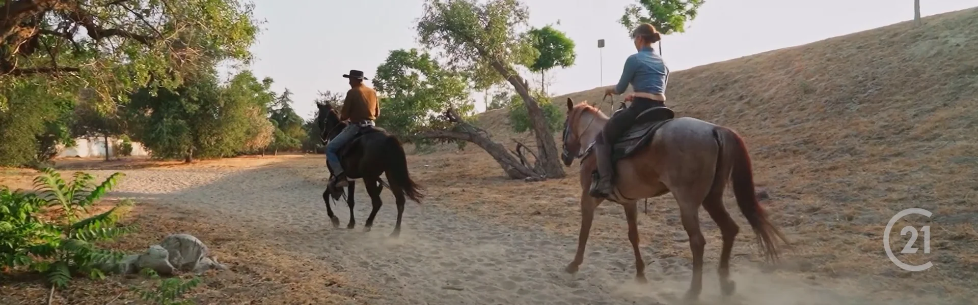 RES-Video-Backgrounds - Michael_Murphy.mp4 on Vimeo