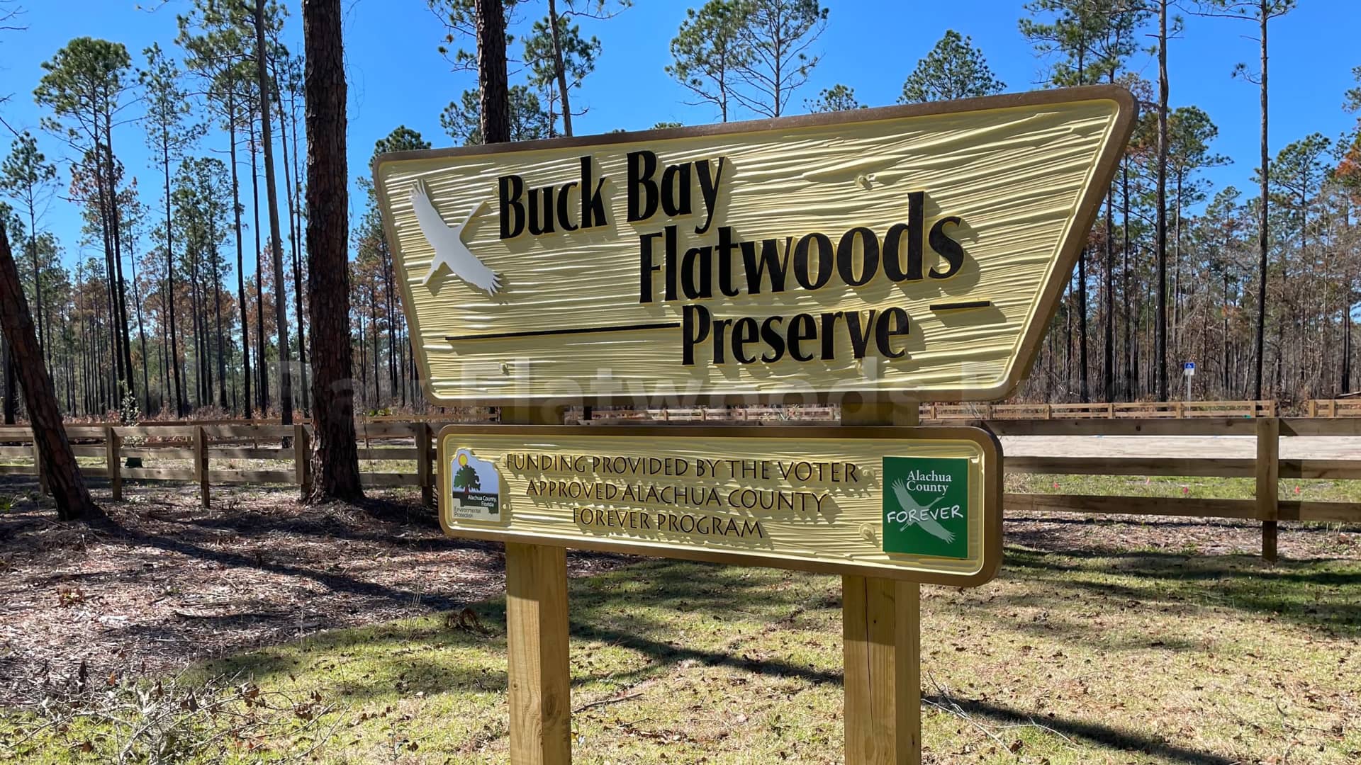 Buck Bay Flatwoods Preserve on Vimeo