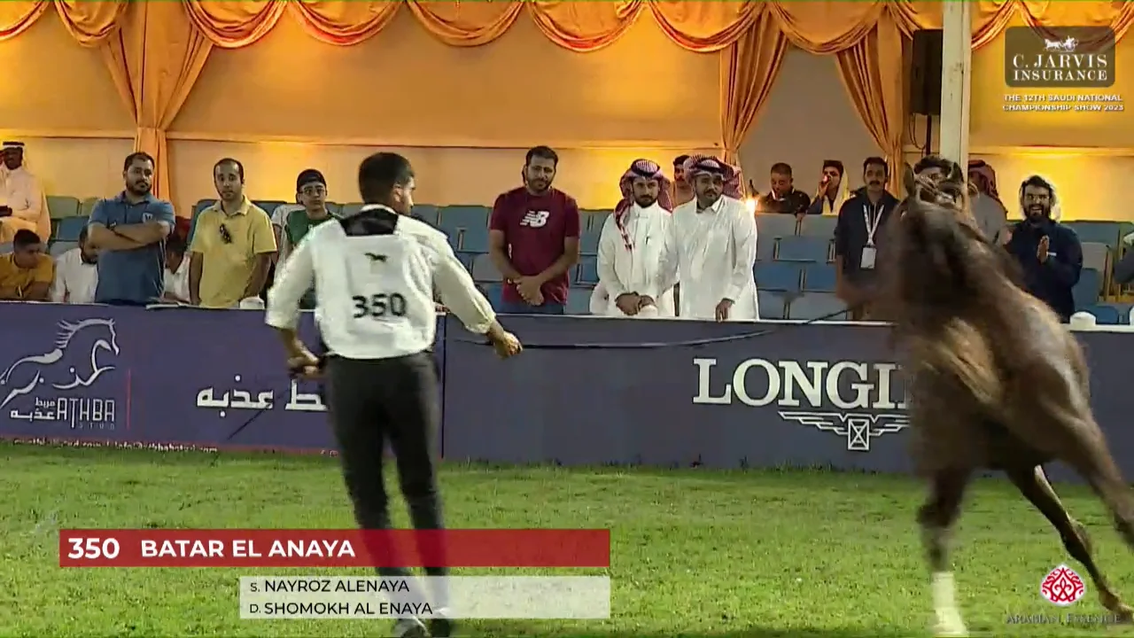 N.350 BATAR EL ANAYA - The Saudi National Championships 2023 - Colts 3 ...