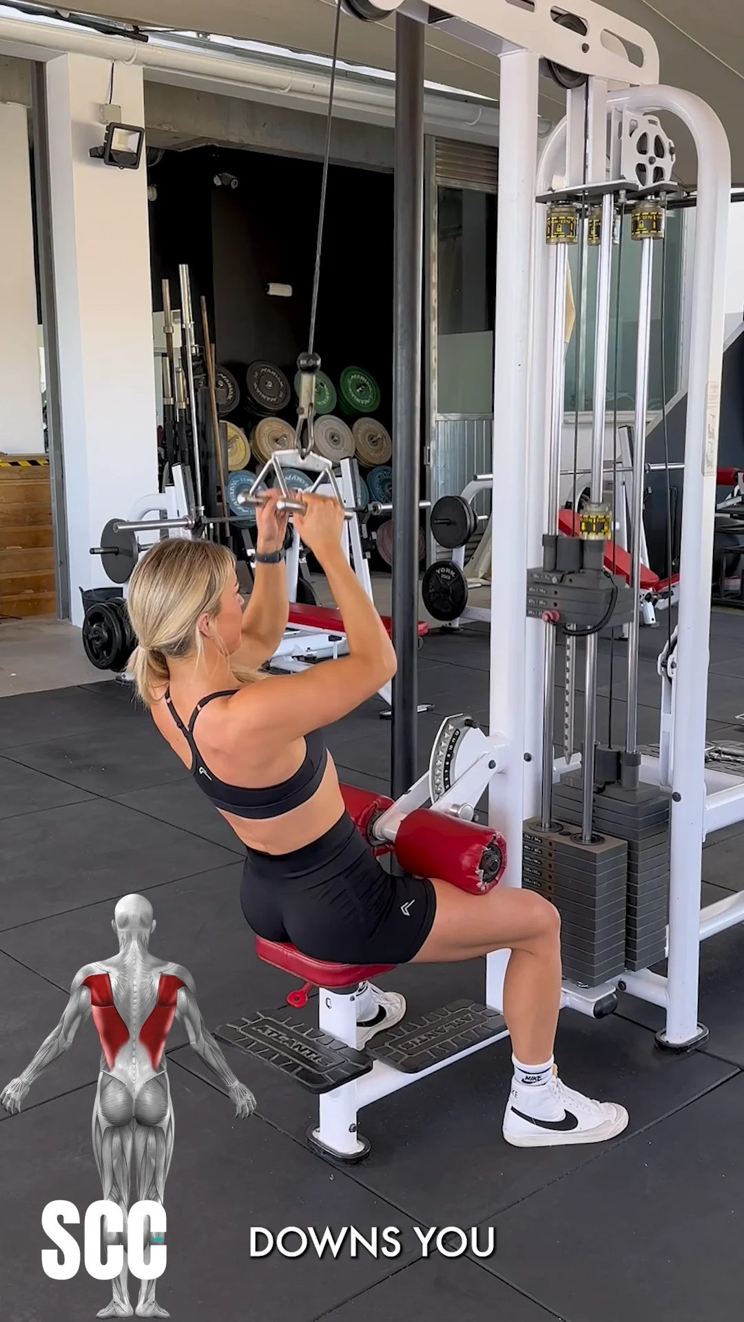 Neutral Grip Pulldown on Vimeo