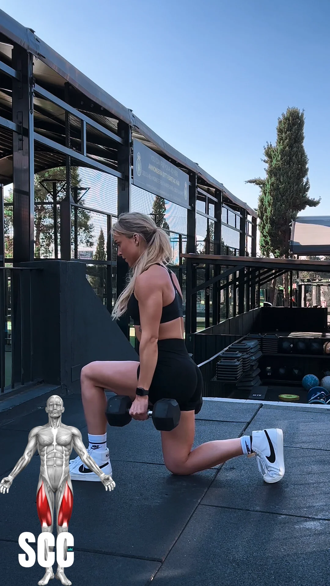 DB Split Squat on Vimeo