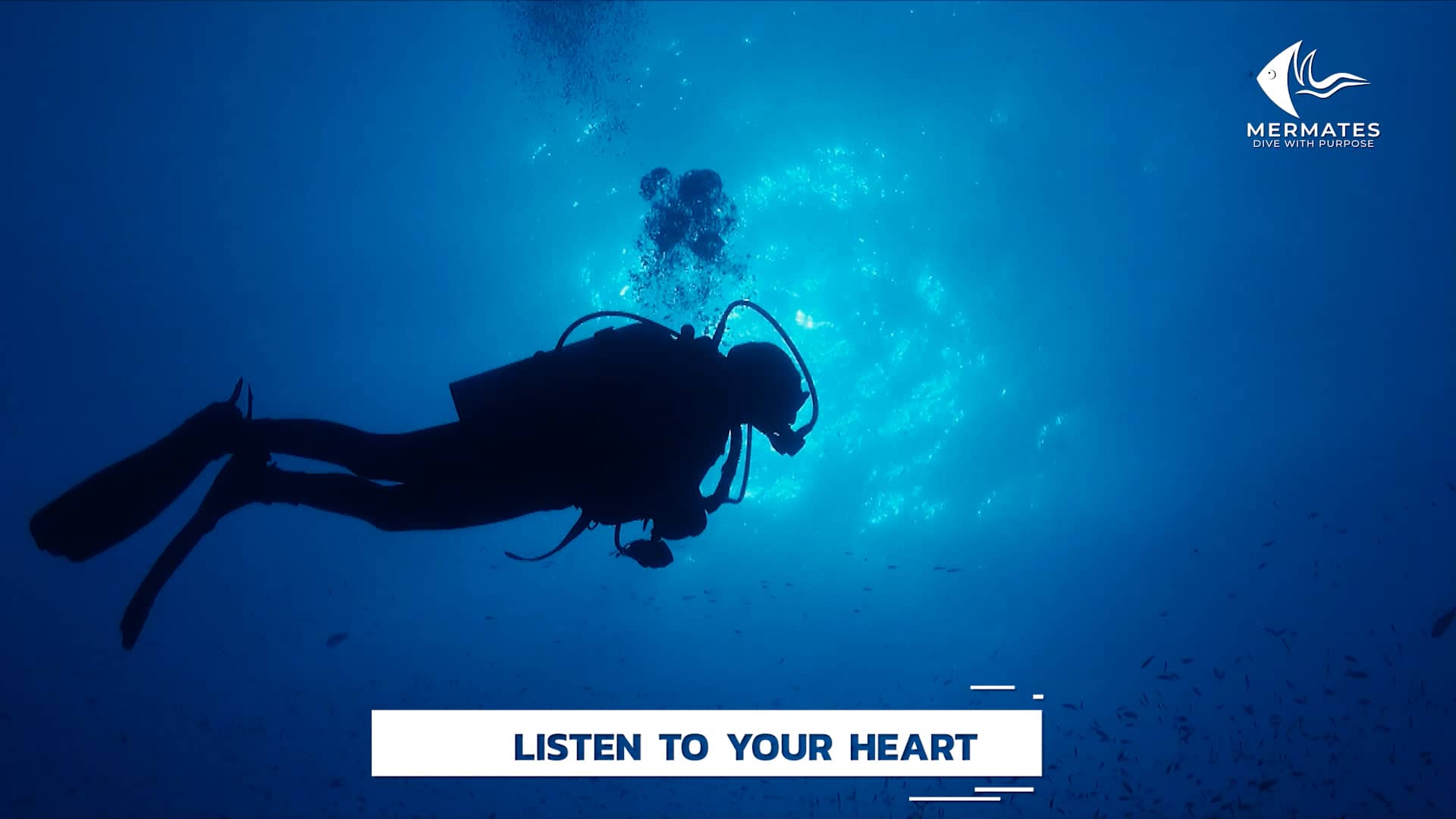 Diving Journey on Vimeo